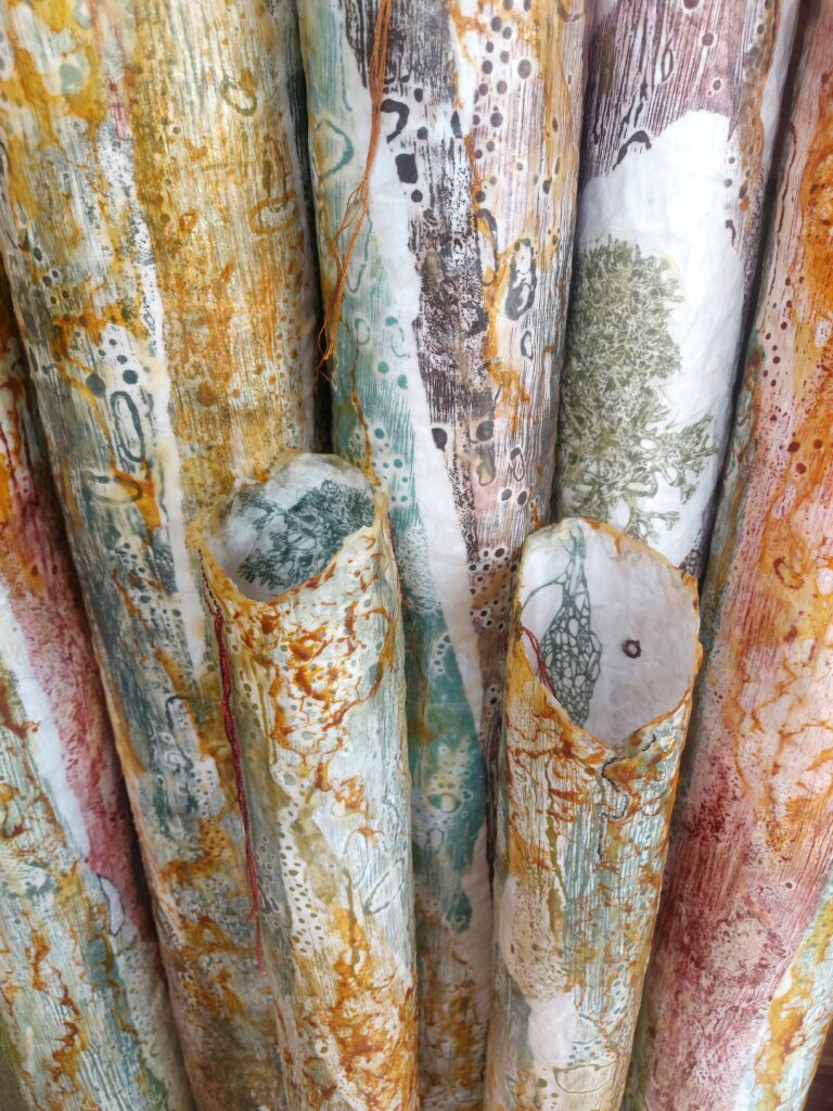 Home - Coastal Arts Trail