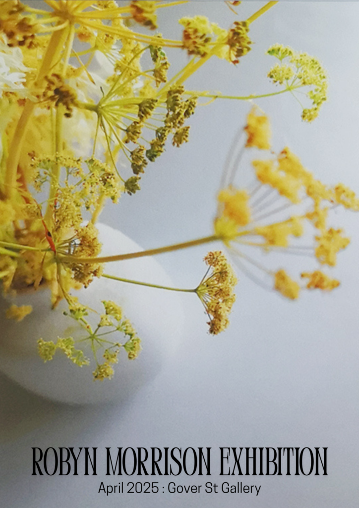 Robyn Morrison Photography Exhibition - Coastal Arts Trail